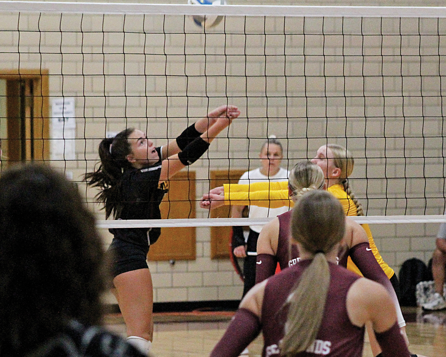 Weekend area roundup: Johnson gets 1,000th career dig, Rabbits win ...